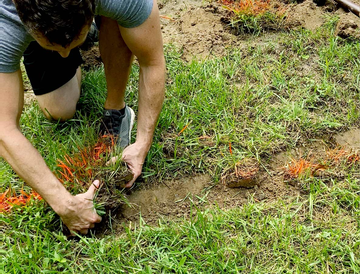 How to Edge a Flower Bed Like a Pro - Plank and Pillow